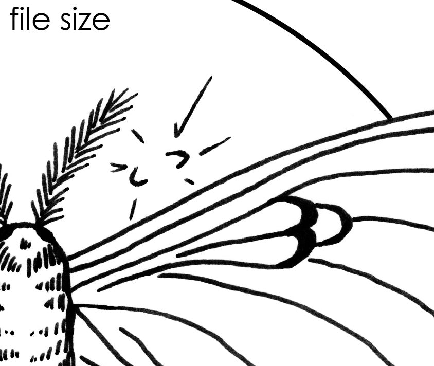 how to draw a moon digitally