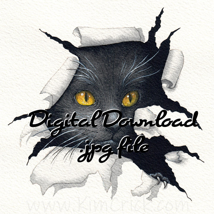 How To Draw A Cat From Behind