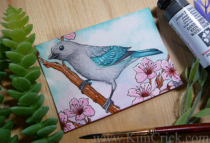 Original Watercolor Painting Blue-Gray Tanager Bird (ATC ACEO size, no ...