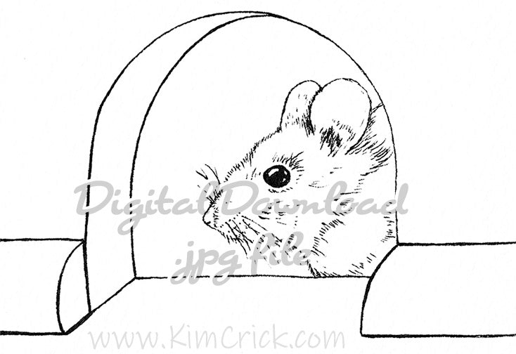 Mouse Animal Hole Drawing