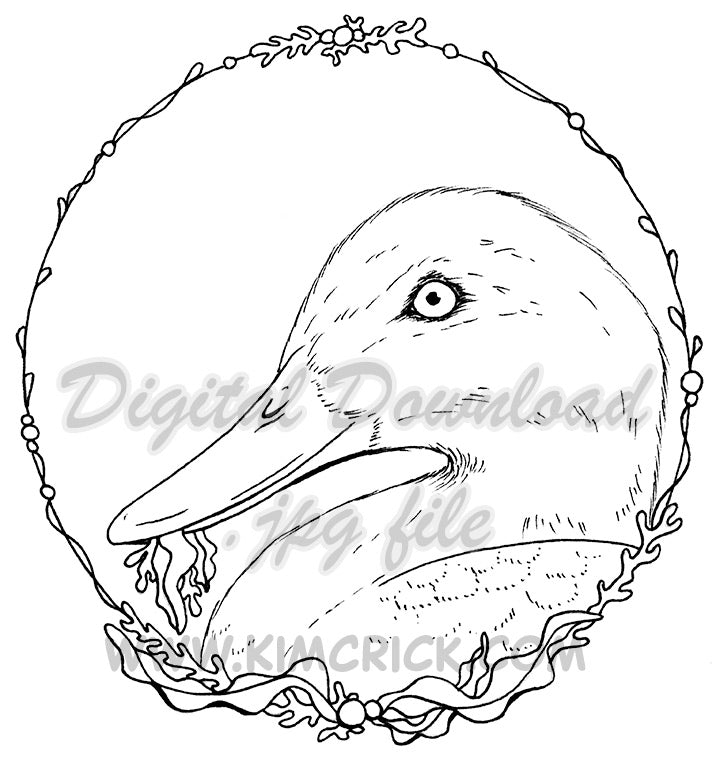 ducky printable coloring pages